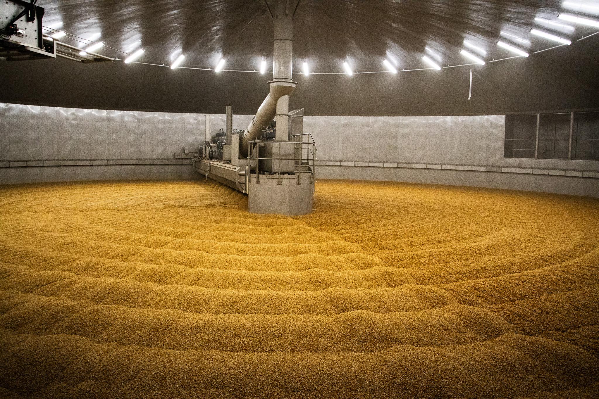Kilning Process | How Malt Gets Its Flavour & Identity