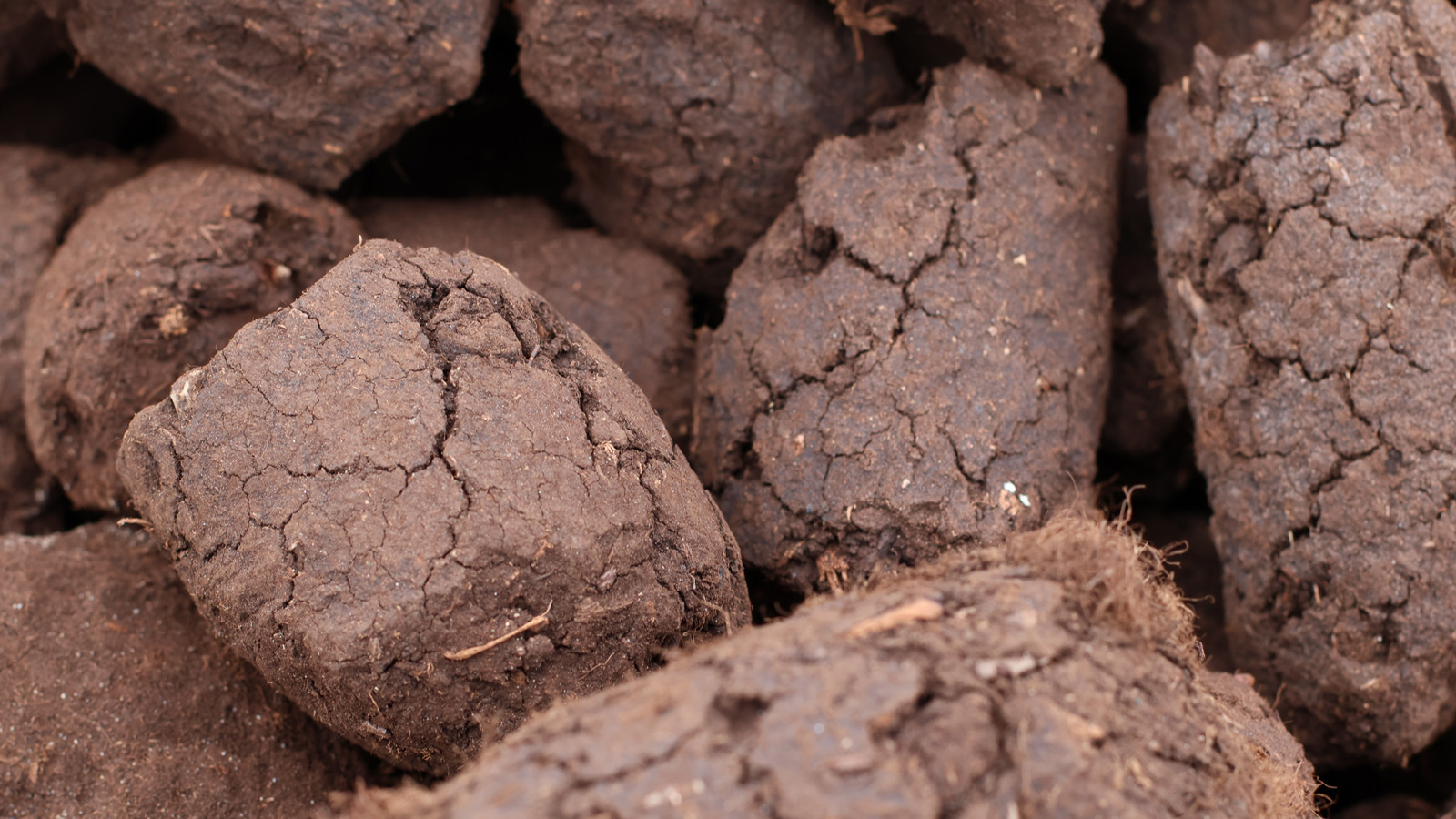 Kilning Process | How Malt Gets Its Flavour & Identity