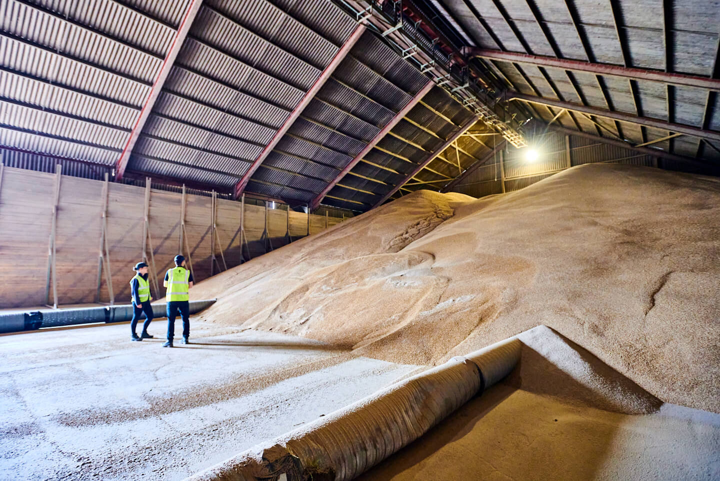 Kilning Process | How Malt Gets Its Flavour & Identity