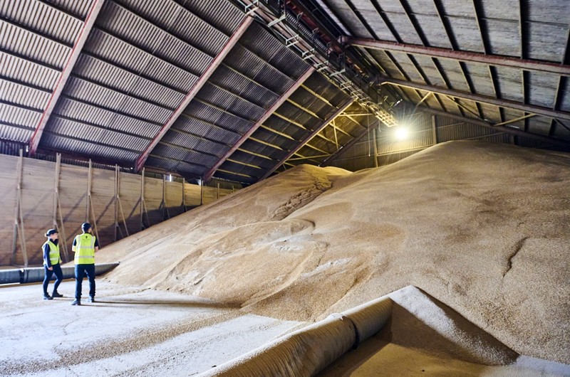 Barley Intake | Sourcing Quality Barley From British Farmers