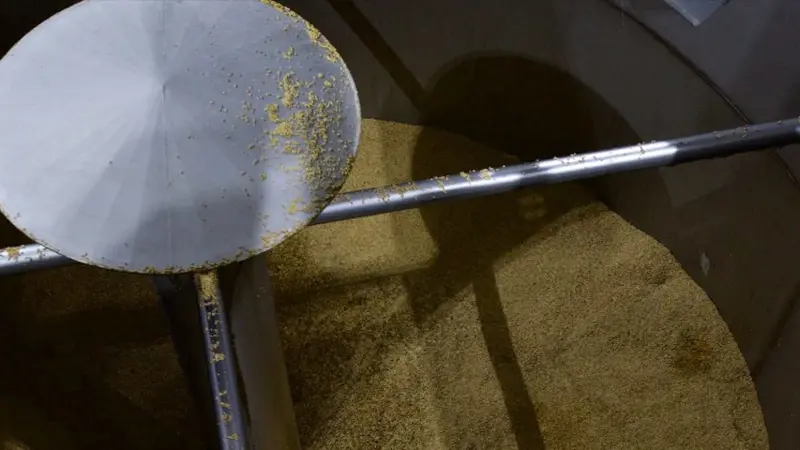 The Malt Production Process: Steeping | Simpsons Malt