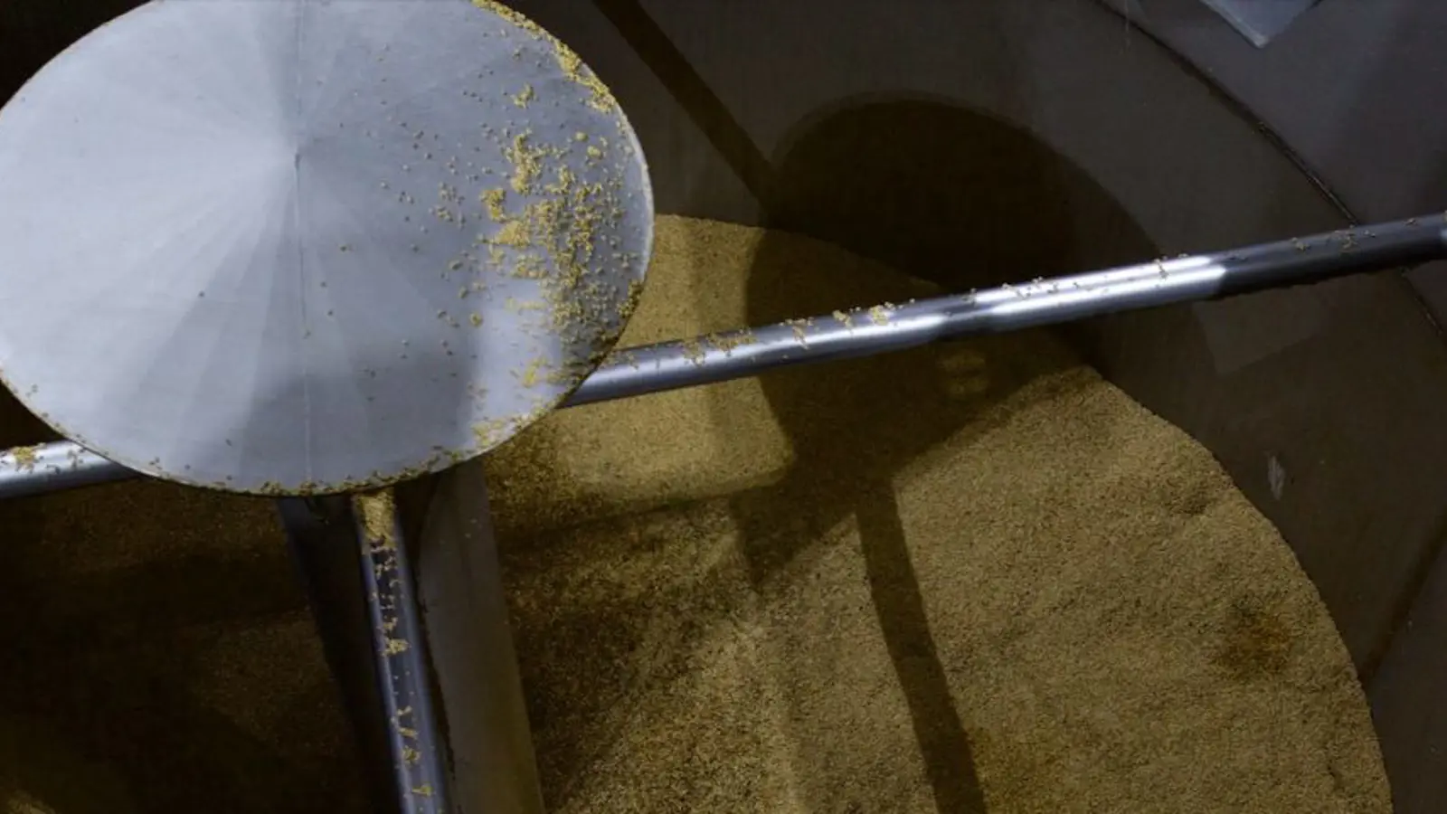 The Malt Production Process: Steeping | Simpsons Malt