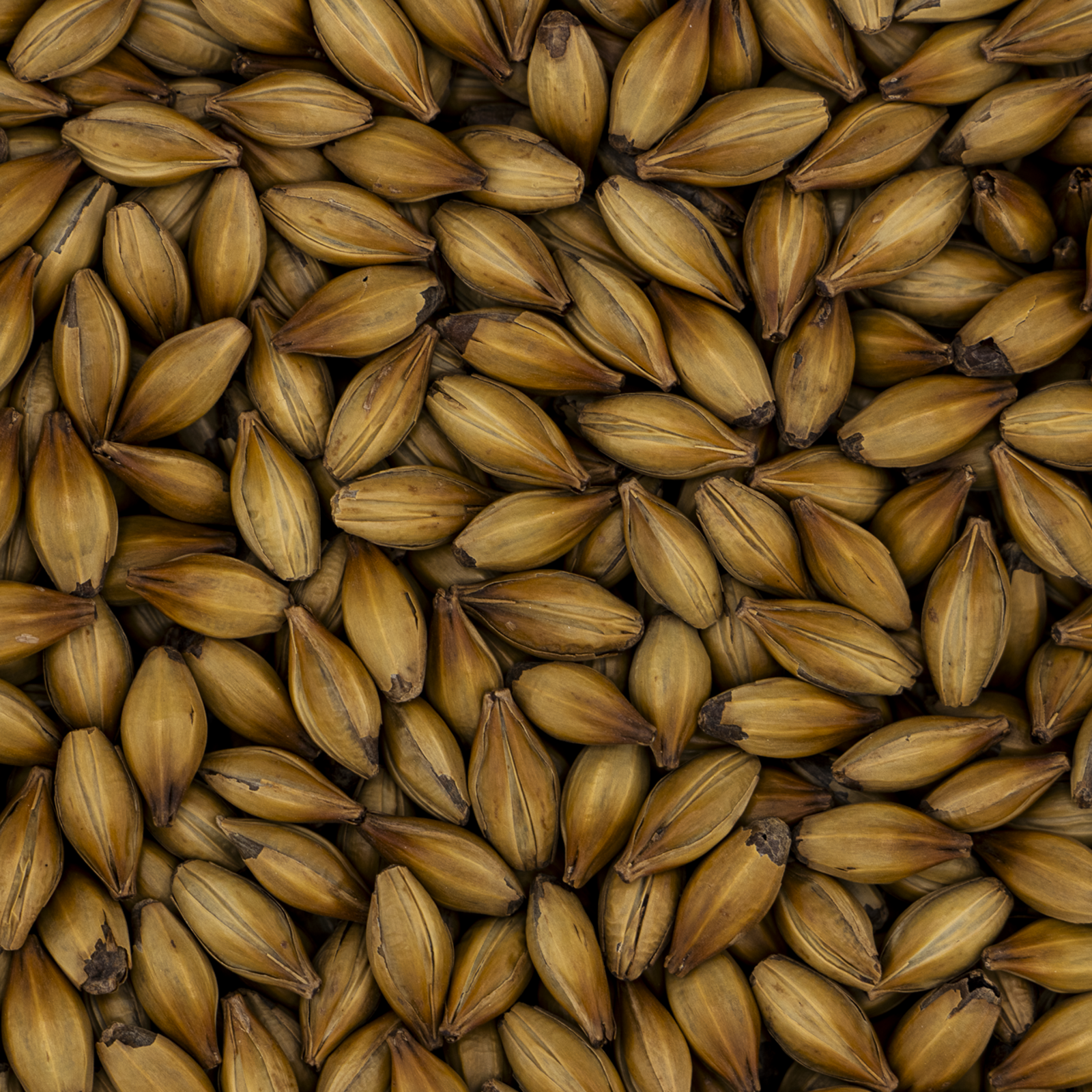 Crystal Dark | Rich Toffee, Dark Fruit & Caramel Depth