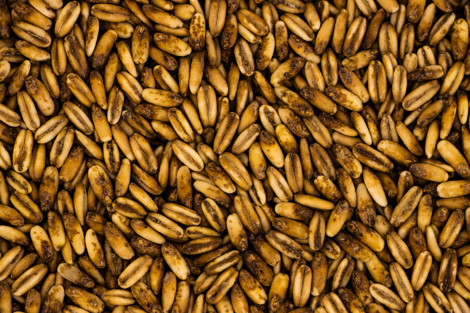 Crystal Malts & Caramalts | Add Colour & Sweetness to Beer