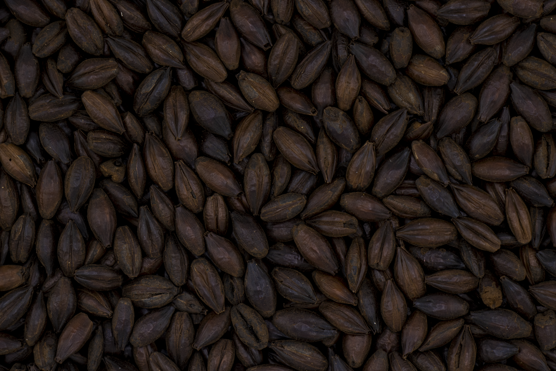 Black Malt | Intense Roast & Coffee Flavour