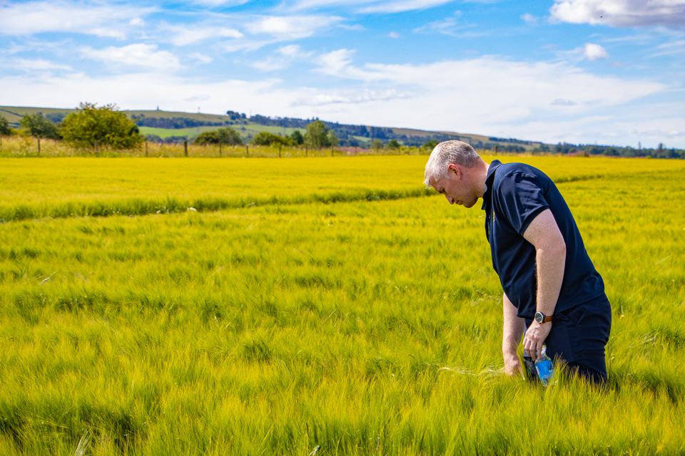 Supply Chain | From Grower to Maltster With Full Traceability