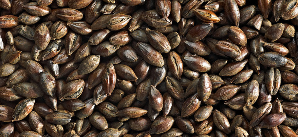 Black Malt - Simpsons Malt