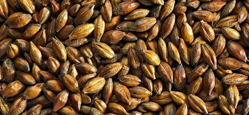 Brown Malt - Simpsons Malt