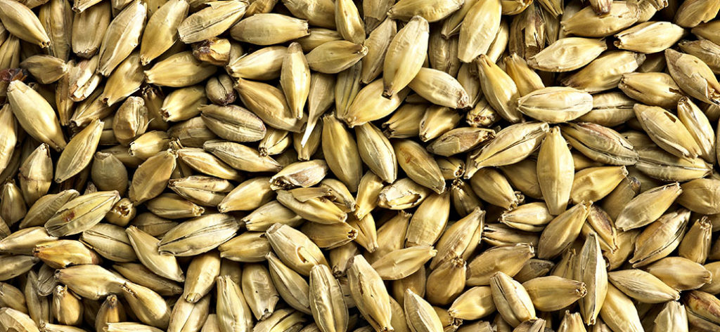 Munich Malt - Simpsons Malt