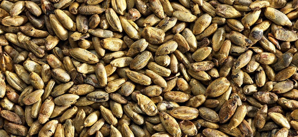 Red Rye Crystal - Simpsons Malt