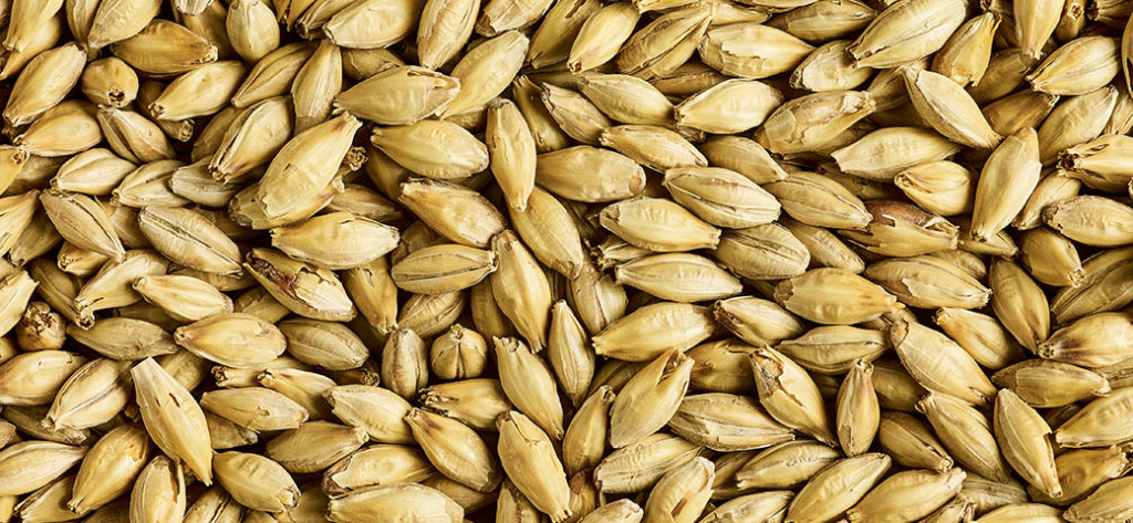 Vienna Malt - Simpsons Malt