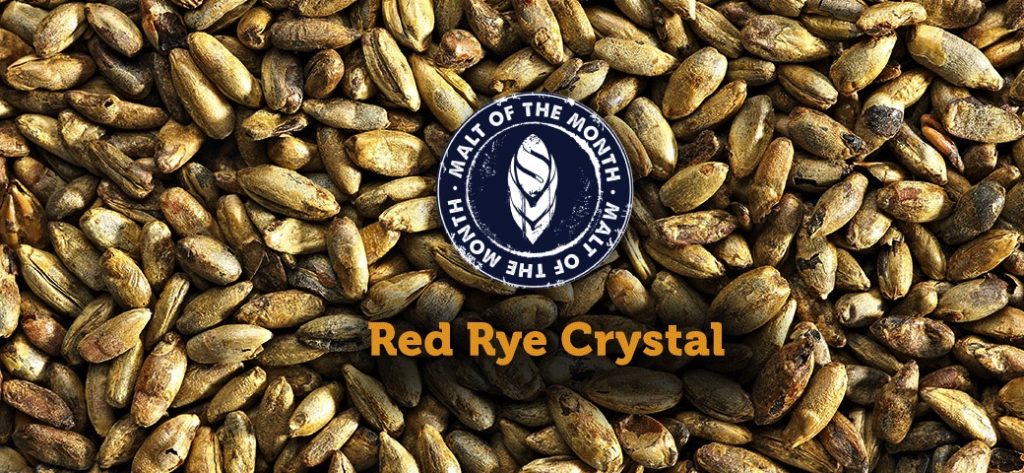 Malt of the Month – Red Rye Crystal - Simpsons Malt